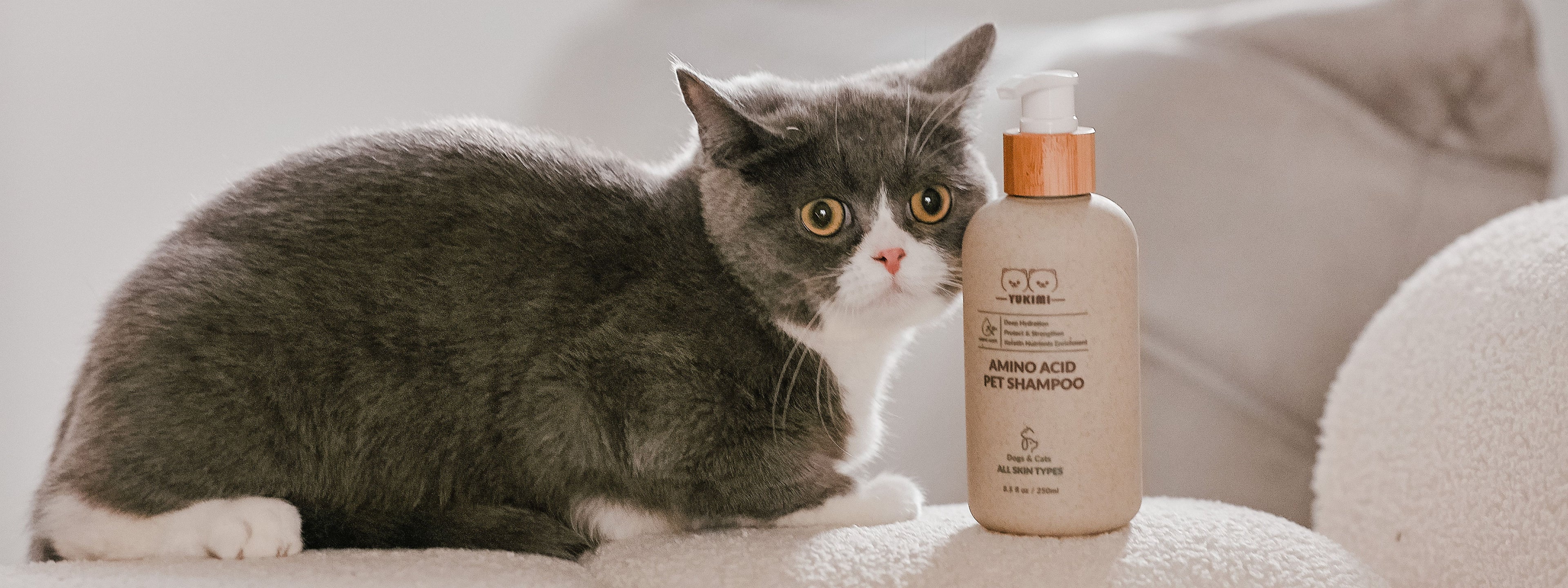 YUKIMI | Premium Pet Essentials